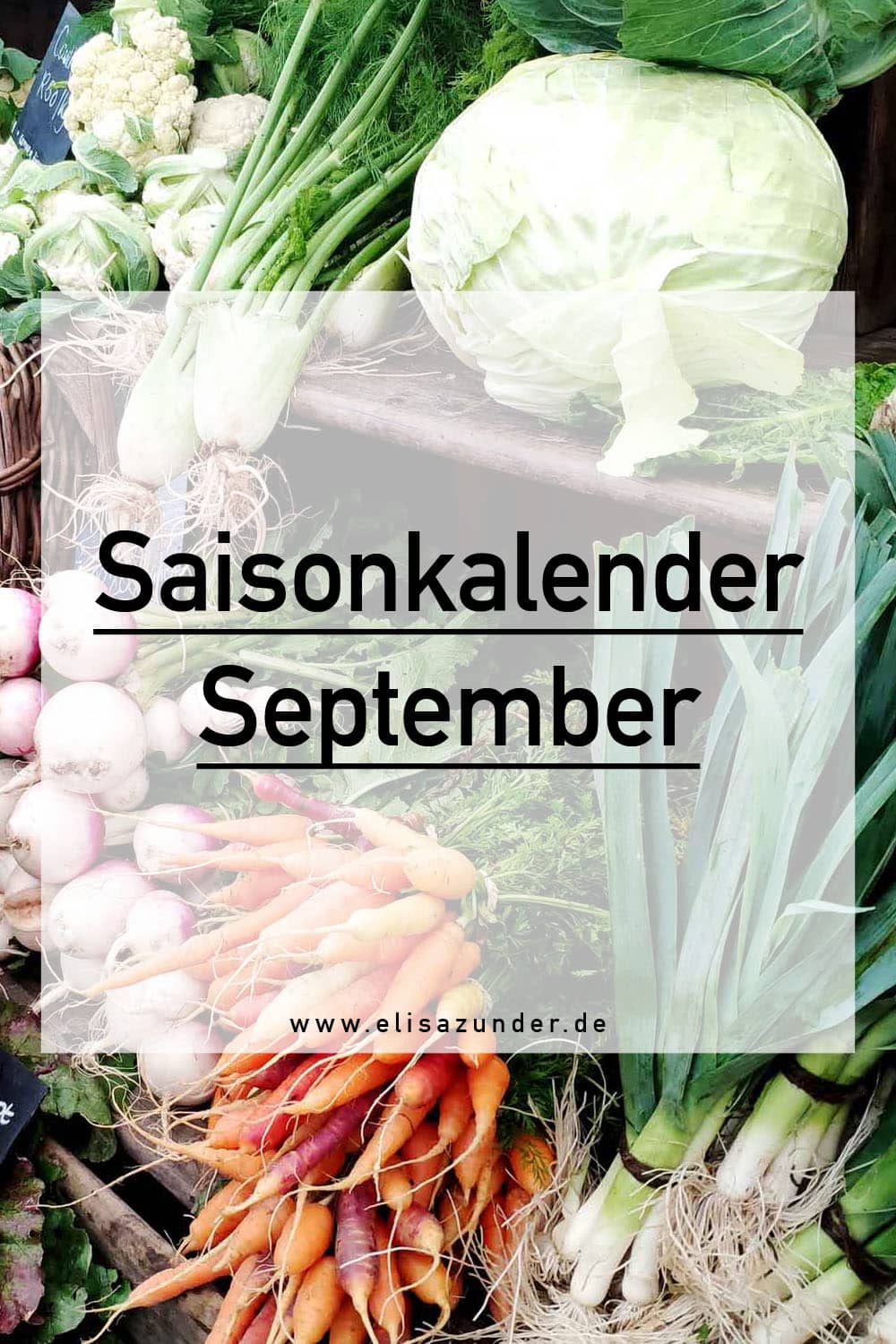 Saisonkalender September: Obst, Gemüse und Kräuter